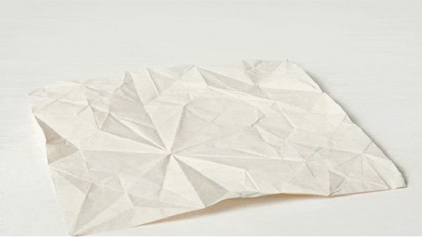 Asia Pulp & Paper lanza en México el cartón biodegradable Bionatura ...